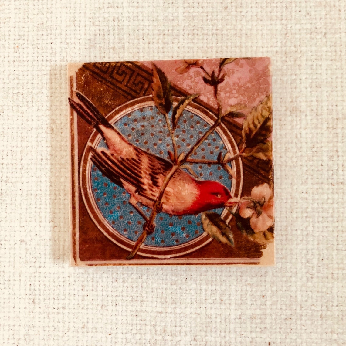 Coaster Set With Vintage Bird Illustrations Bring a Touch of - Etsy