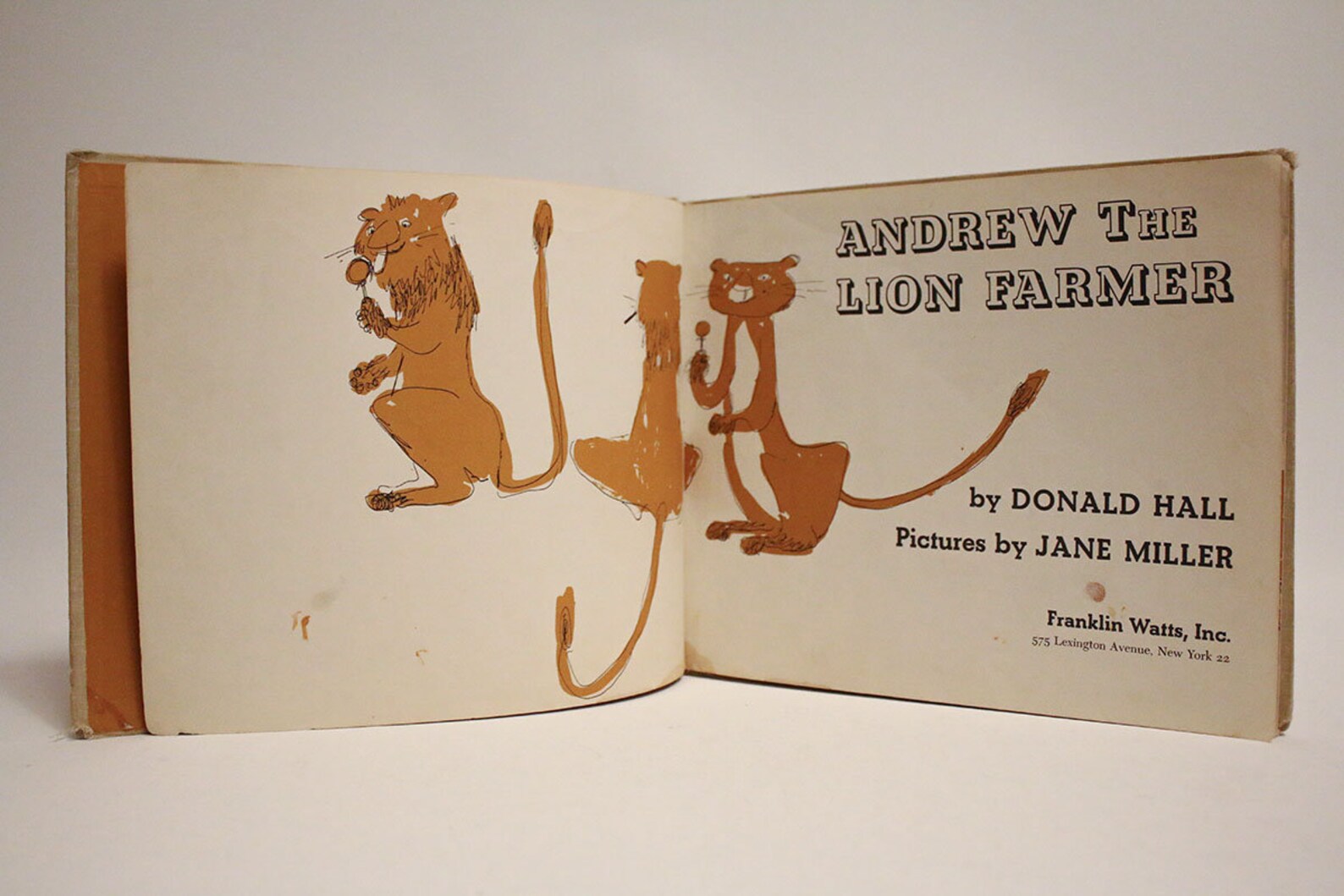 Andrew the Lion Farmer by Franklin Watts First Printing | Illustrated ...