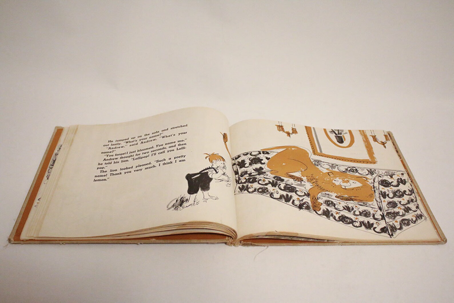 Andrew the Lion Farmer by Franklin Watts First Printing | Illustrated ...
