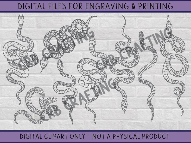 Snake Outline Clipart for Tattoo, Engraving, Printing | High-quality ...
