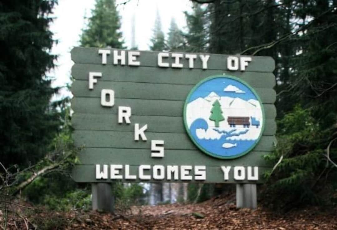Welcome to Forks, Washington Wood Decor Sign | Twilight Wall Hanging ...