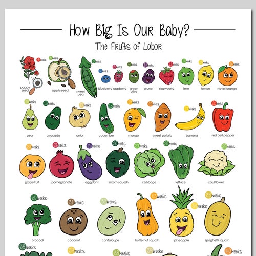How Big is Our Baby Week by Week Fruit Sizes for Pregnancy - Etsy Canada