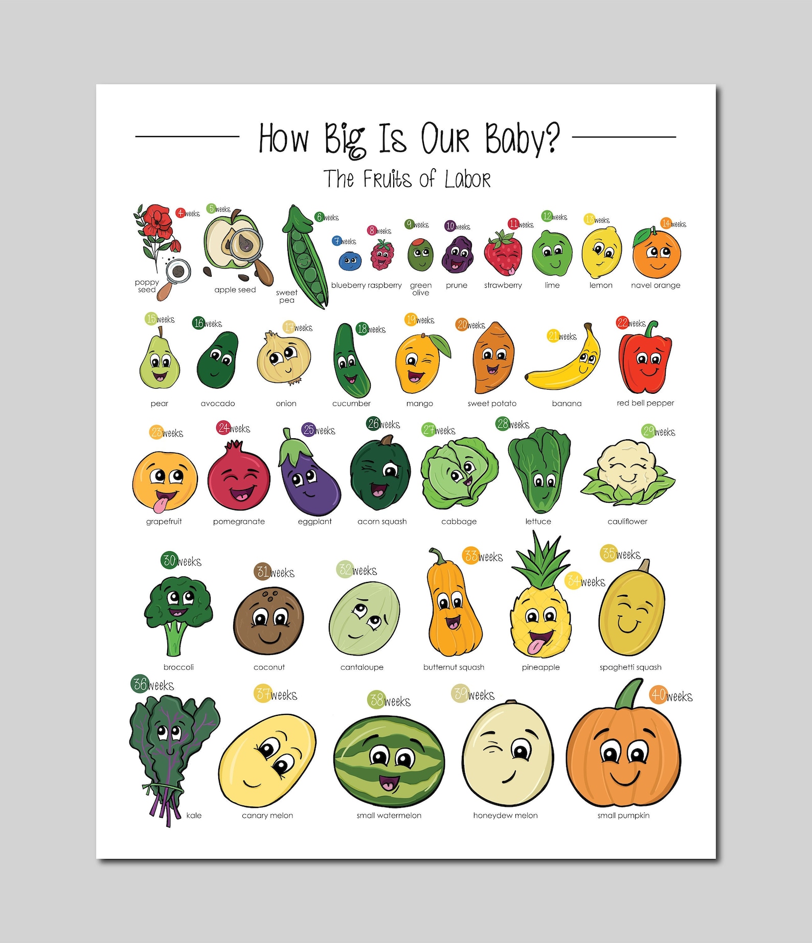 How Big is Our Baby? Week by Week Fruit Sizes for Pregnancy | Digital ...