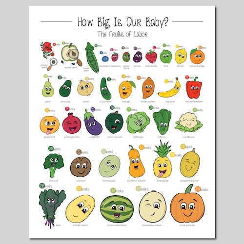 How Big is Our Baby Week by Week Fruit Sizes for Pregnancy - Etsy