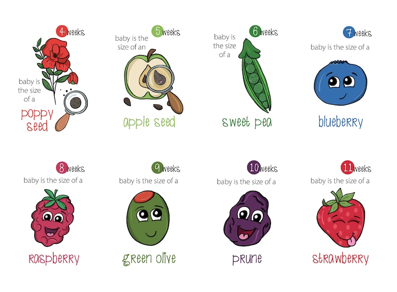 Weekly Baby Bump Pregnancy Prints, Pregnancy Week by Week, Baby Size ...