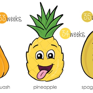 How Big is Our Baby? Week by Week Fruit Sizes for Pregnancy | Digital ...