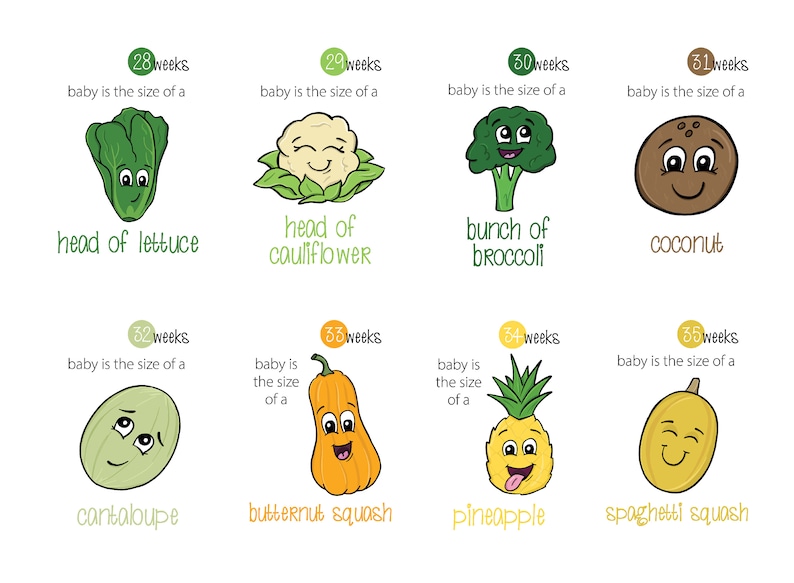 Weekly Baby Bump Pregnancy Prints, Pregnancy Week by Week, Baby Size ...