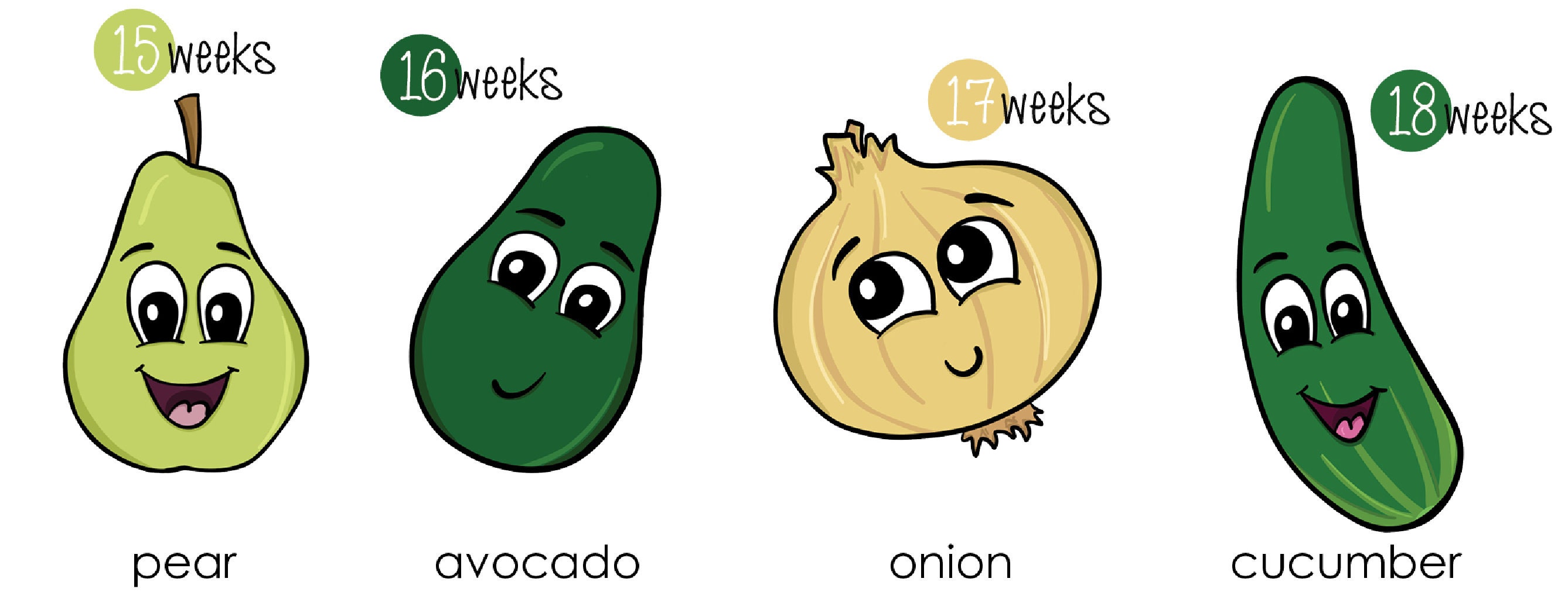 How Big is Our Baby? Week by Week Fruit Sizes for Pregnancy | Digital ...