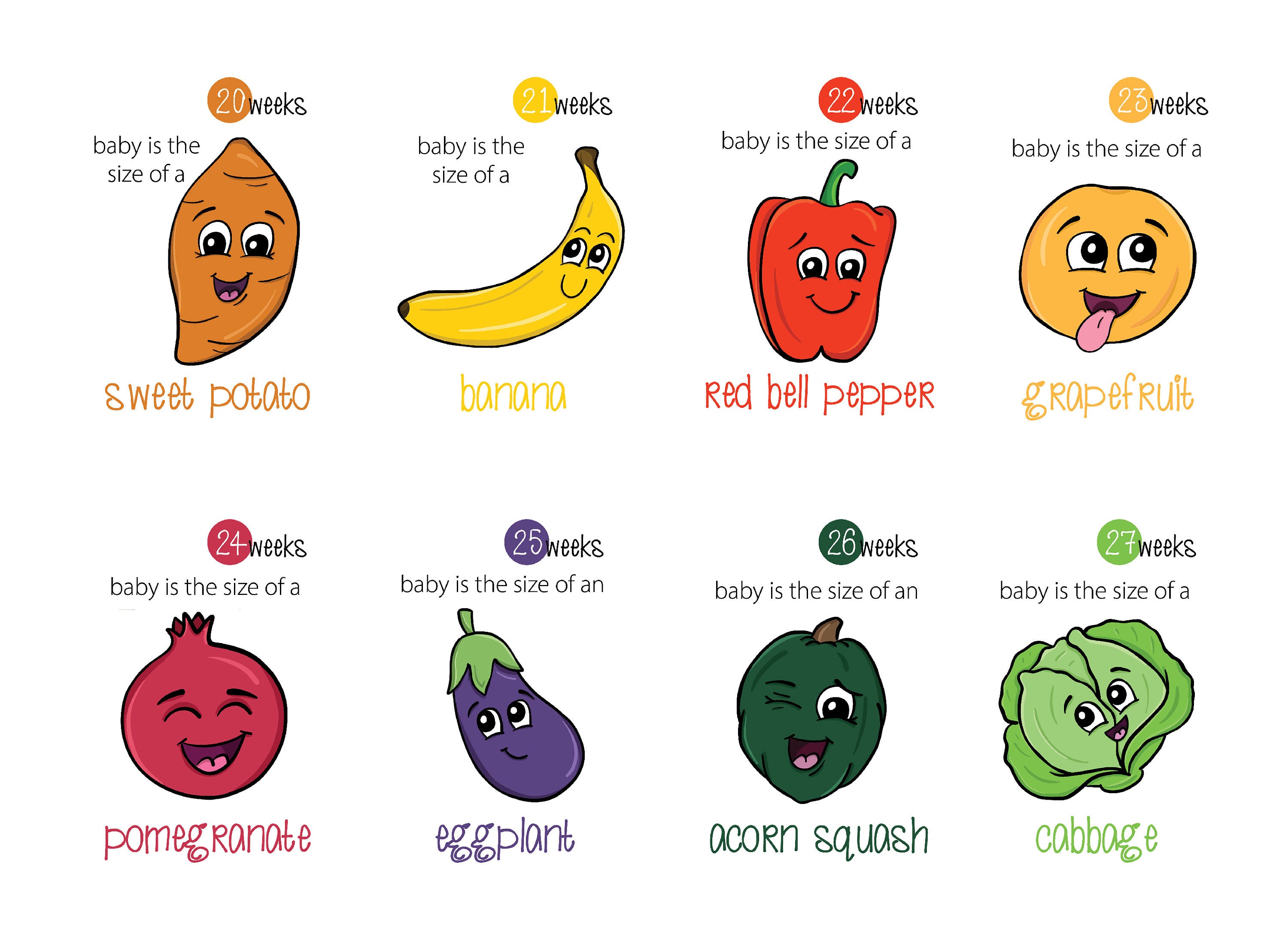 Weekly Baby Bump Pregnancy Prints, Pregnancy Week by Week, Baby Size ...