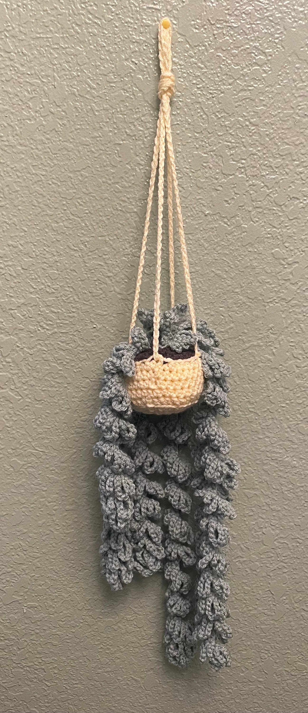 Crochet Burro’s Tail Hanging Plant - Etsy