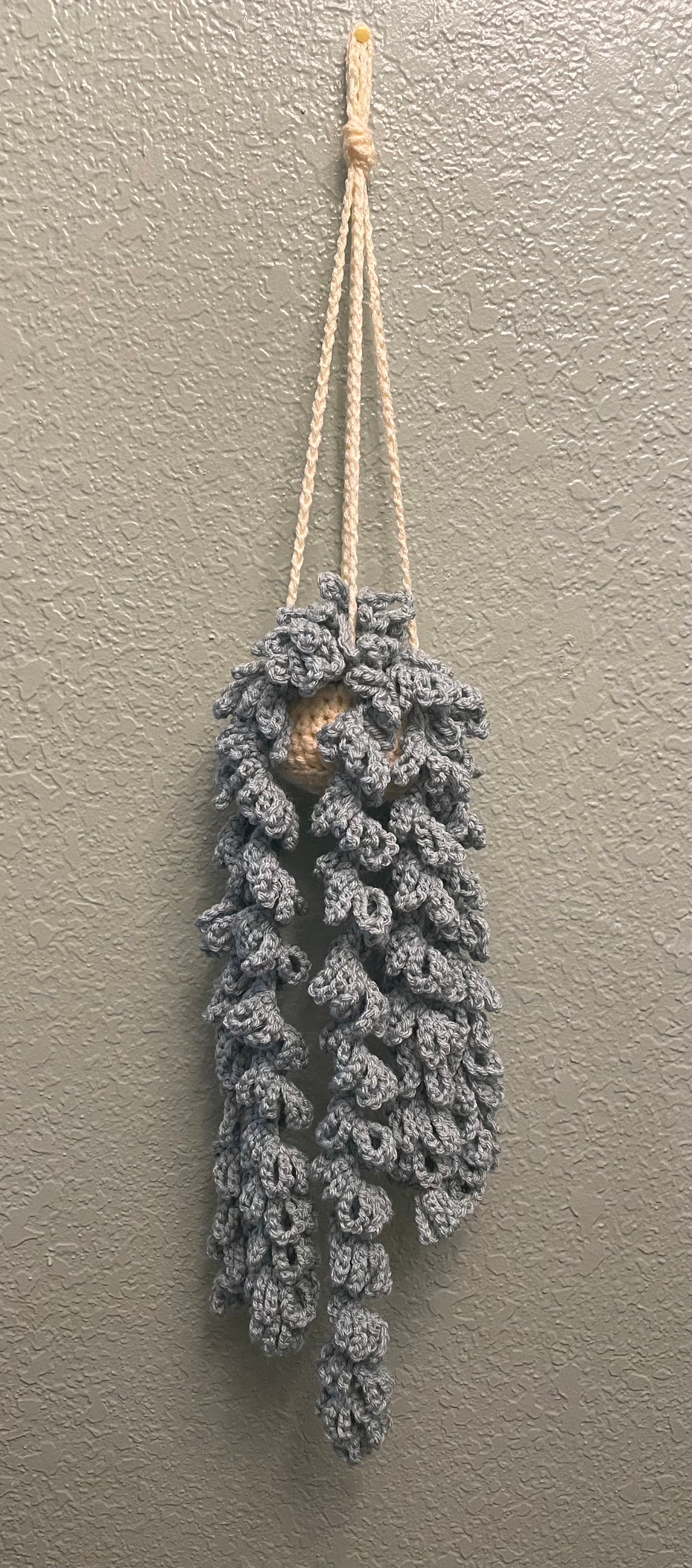 Crochet Burro’s Tail Hanging Plant - Etsy