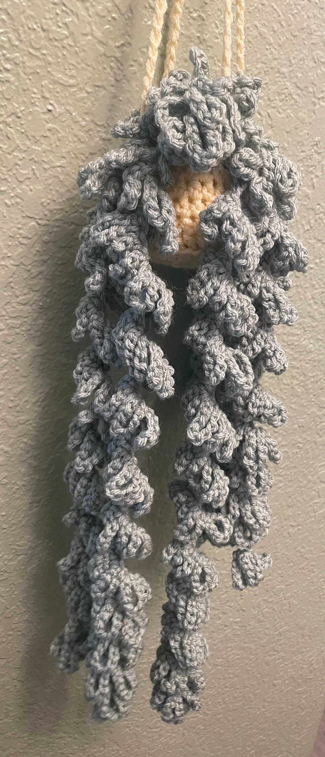 Crochet Burro’s Tail Hanging Plant - Etsy