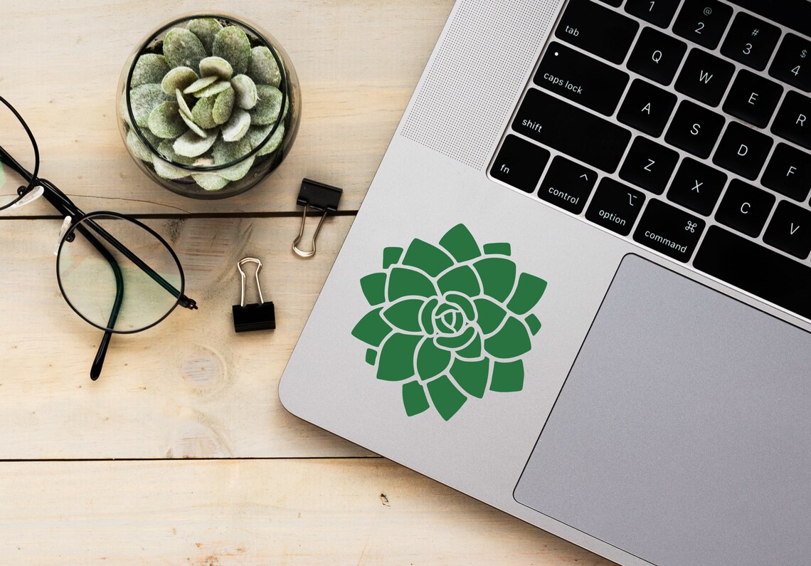 Succulent Vinyl Decal | Succulent Decal | Succulent Sticker | Succulent ...