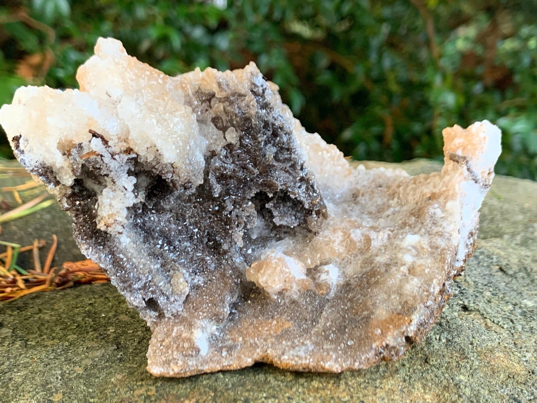 Fulgurite: A Large Crystalized Lightning Specimen for - Etsy