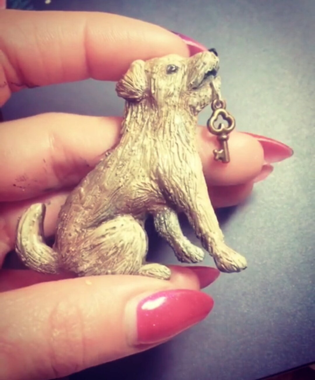 Pirates of the Caribbean Prison Dog - Etsy Hong Kong