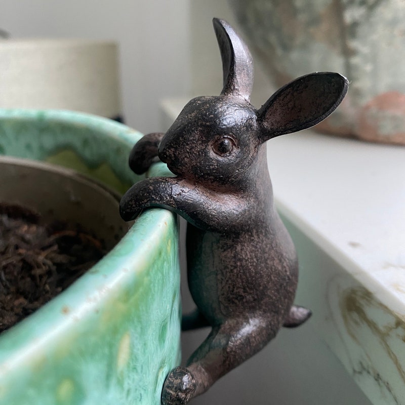 Hare Gifts - 60+ Gift Ideas for 2025