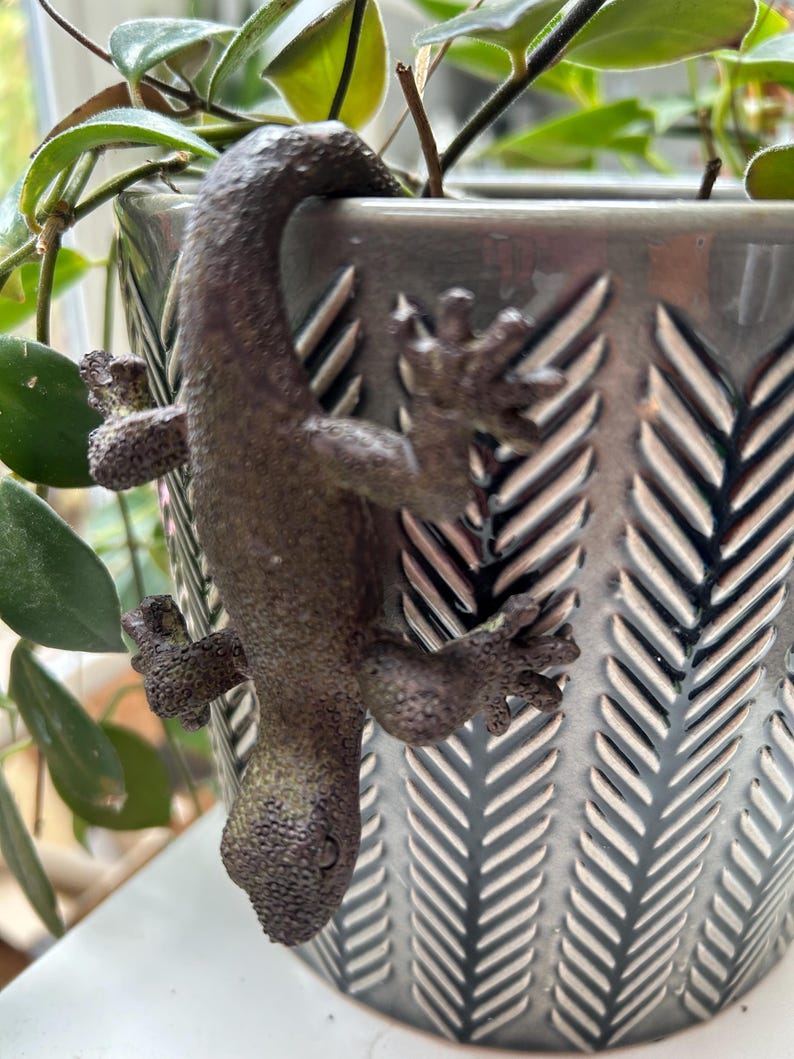 Lizard Plant Pot Hanger - Indoor Outdoor House Gift Decoration - Etsy UK