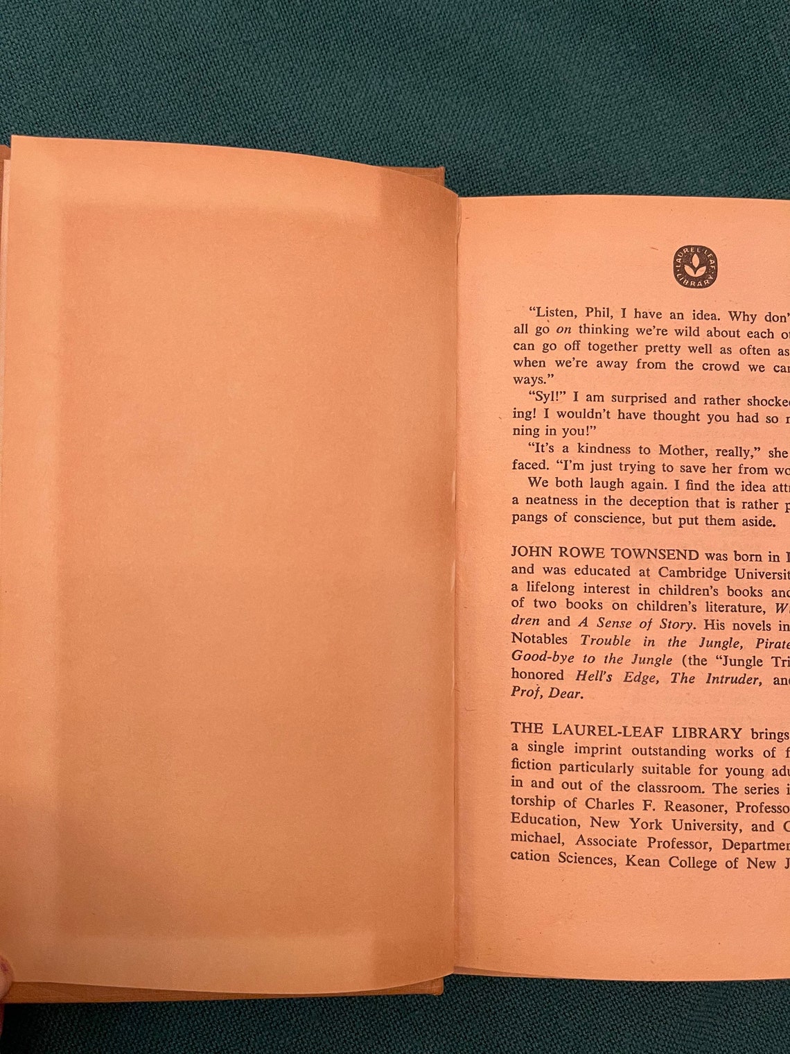 The Summer People Book by John Rowe Townsend - Etsy