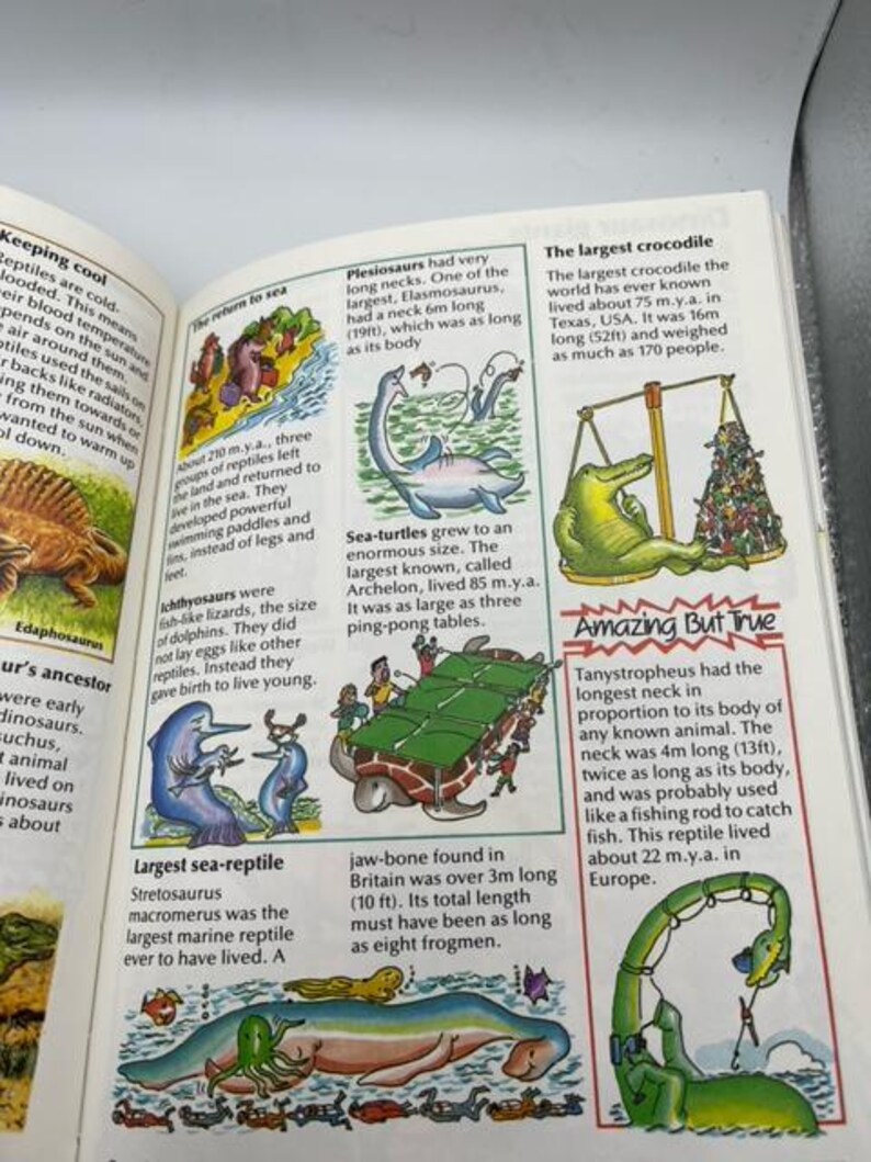 The Usborne Book of Prehistoric Facts - Etsy