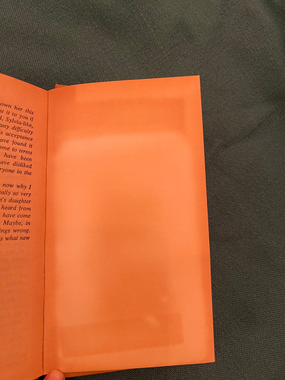 The Summer People Book by John Rowe Townsend - Etsy