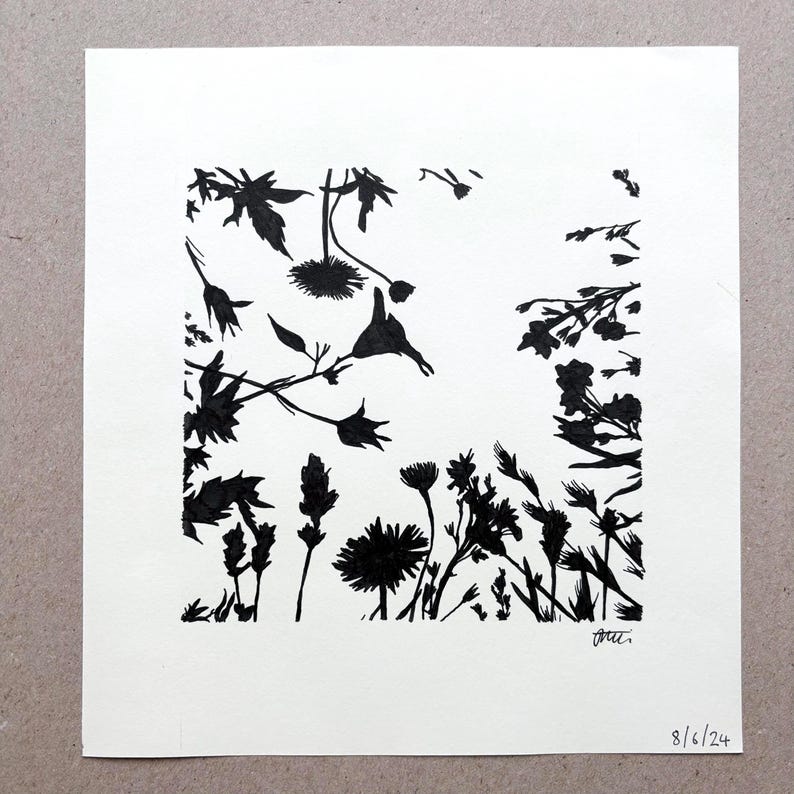 Plant Shadow Drawings Original Pen Drawings by Jack Cripps - Etsy
