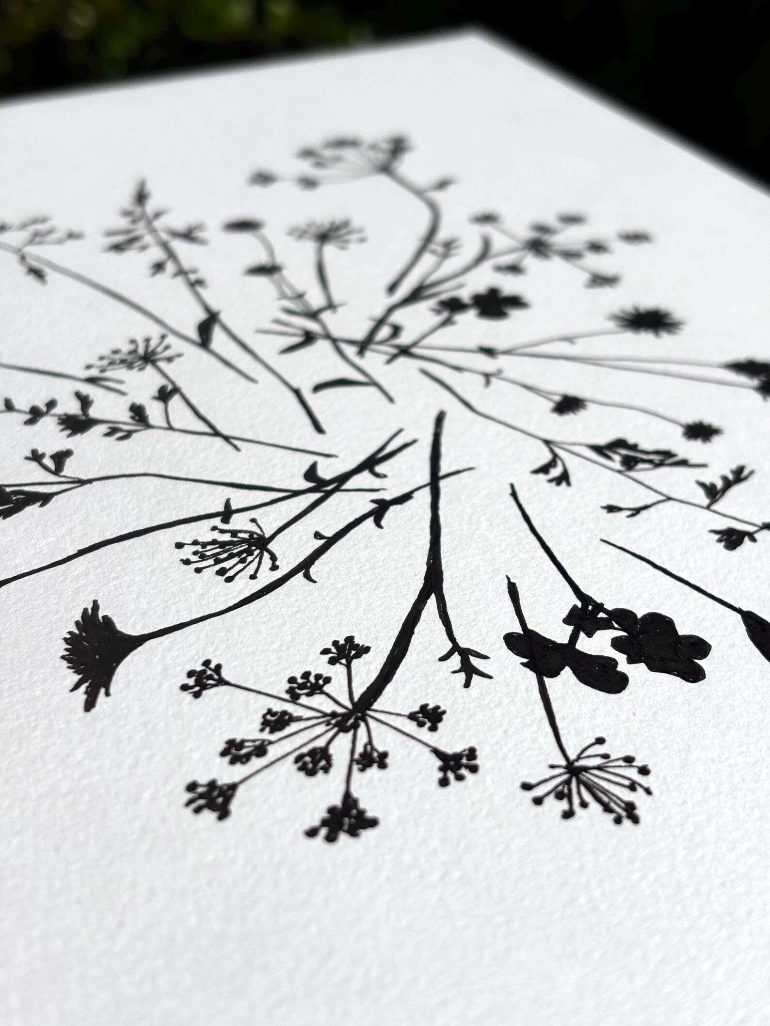 Plant Shadows (A4) - Original Pen Drawings by Jack Cripps - Etsy
