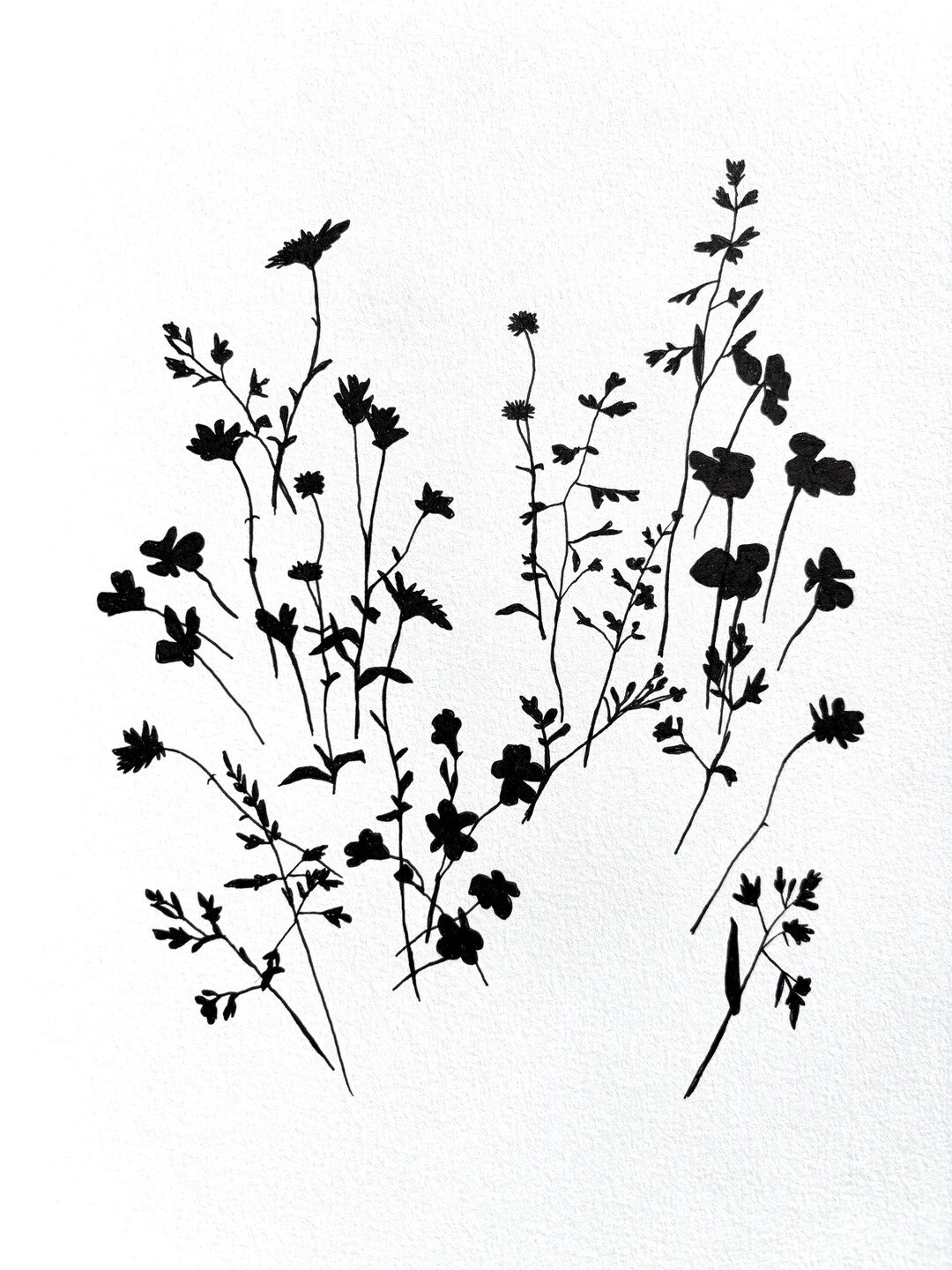 Plant Shadows (A4) - Original Pen Drawings by Jack Cripps - Etsy