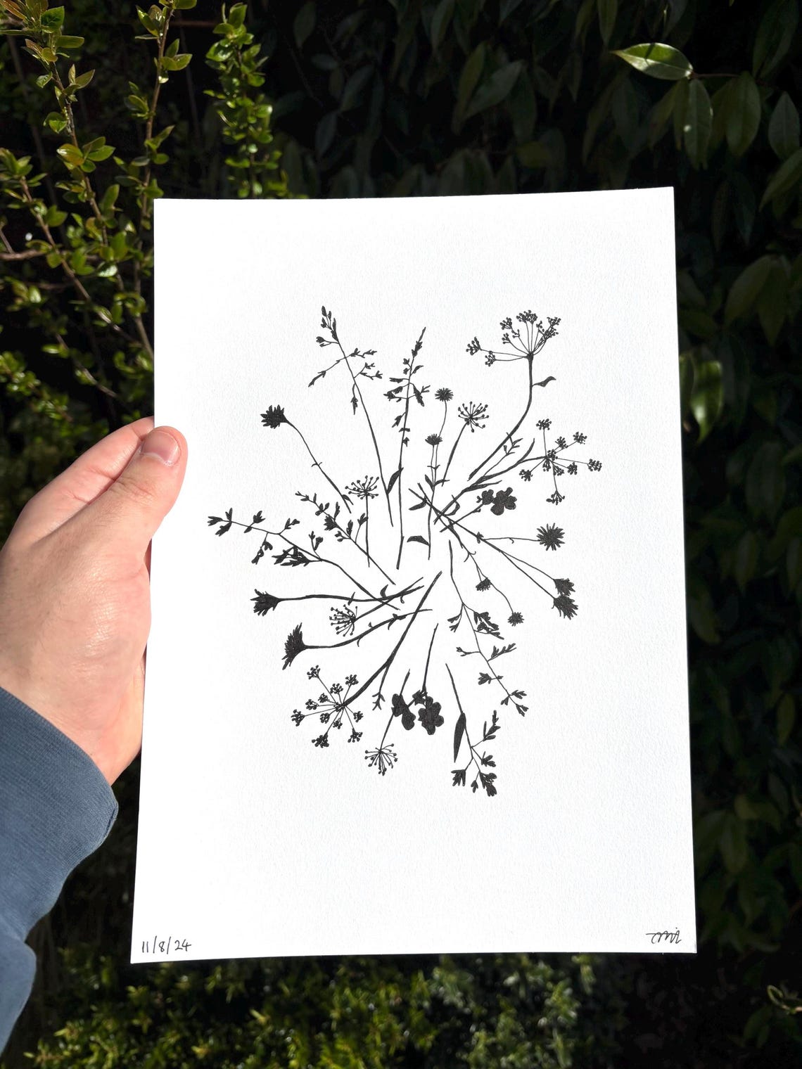 Plant Shadows (A4) - Original Pen Drawings by Jack Cripps - Etsy