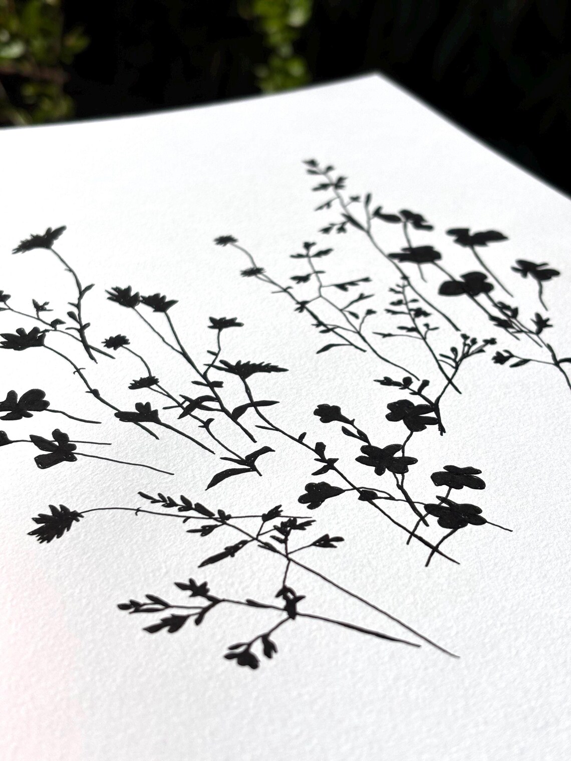 Plant Shadows (A4) - Original Pen Drawings by Jack Cripps - Etsy