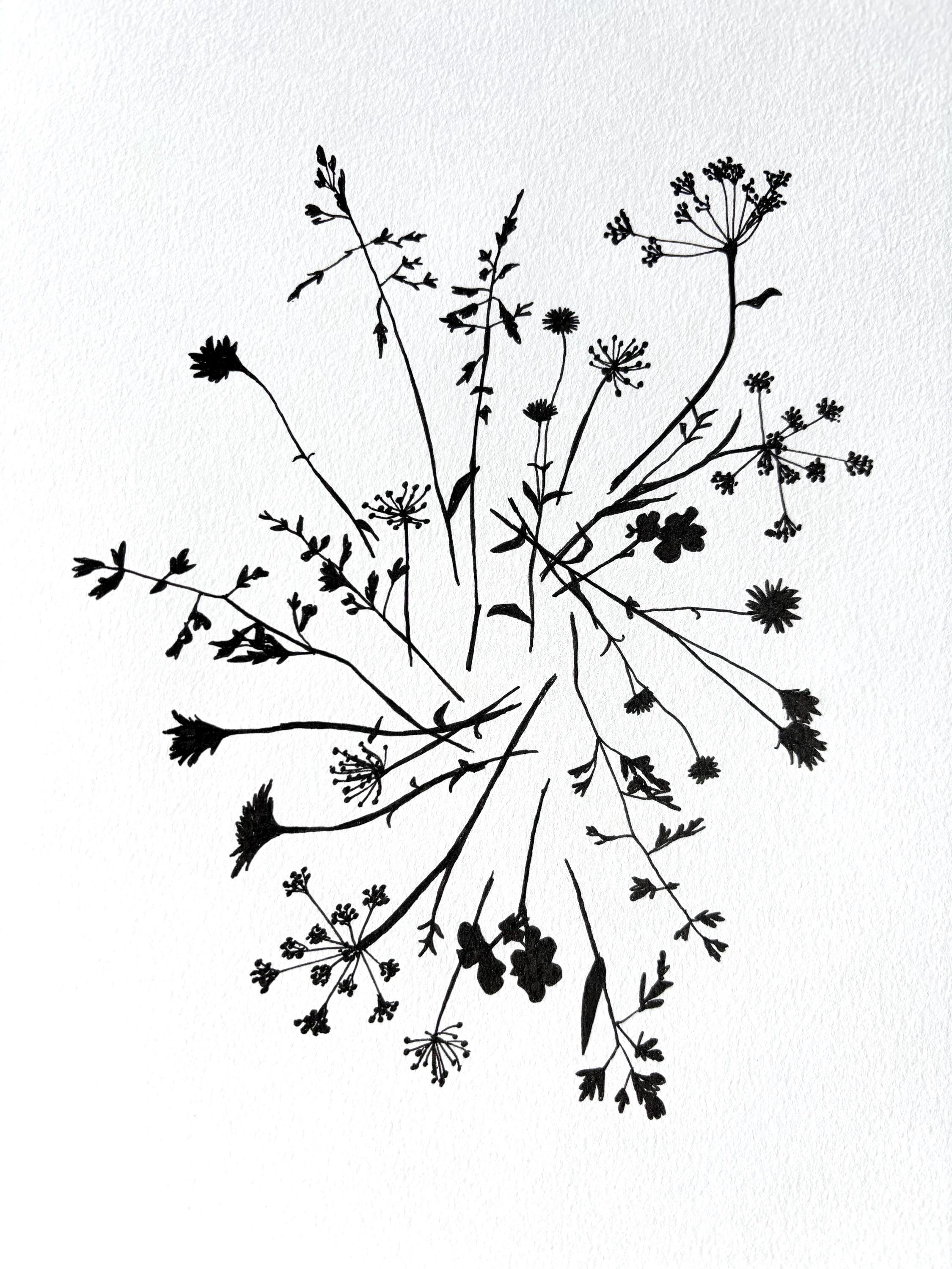 Plant Shadows (A4) - Original Pen Drawings by Jack Cripps - Etsy