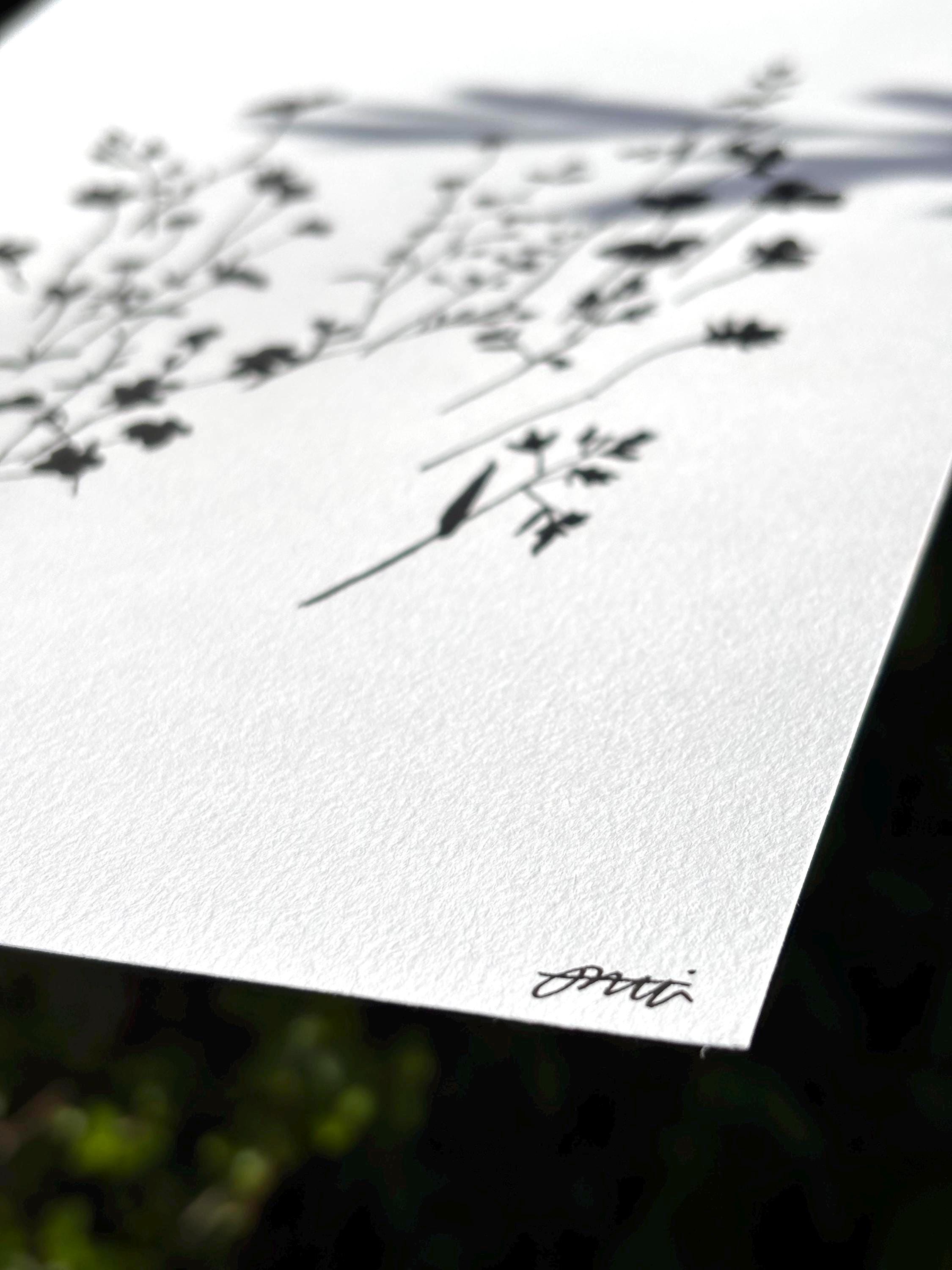 Plant Shadows (A4) - Original Pen Drawings by Jack Cripps - Etsy