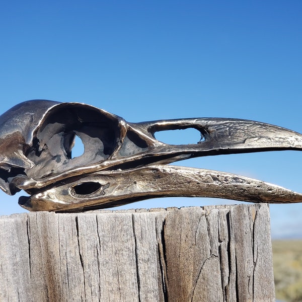 Raven Skull - Etsy