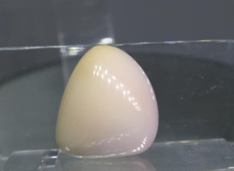 Strombus Giga BIG Pearl | Rare All Natural Pearl White Dew, (29.50 ...