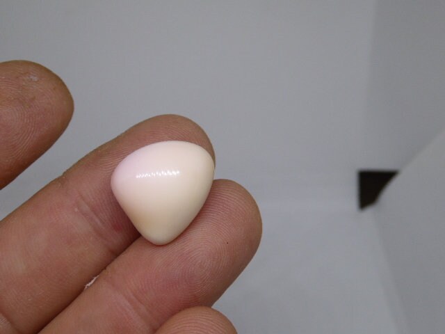 Strombus Giga BIG Pearl | Rare All Natural Pearl White Dew, (29.50 ...