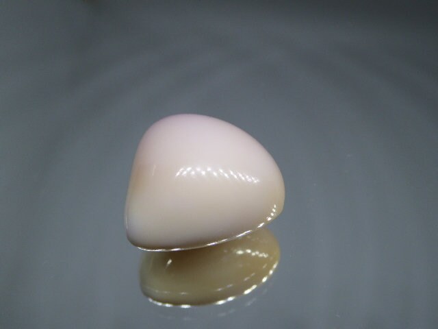 Strombus Giga BIG Pearl | Rare All Natural Pearl White Dew, (29.50 ...