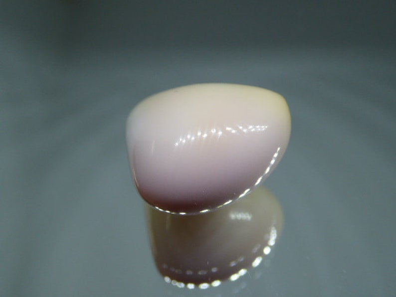 Strombus Giga BIG Pearl | Rare All Natural Pearl White Dew, (29.50 ...