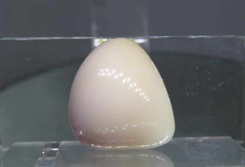 Strombus Giga BIG Pearl | Rare All Natural Pearl White Dew, (29.50 ...