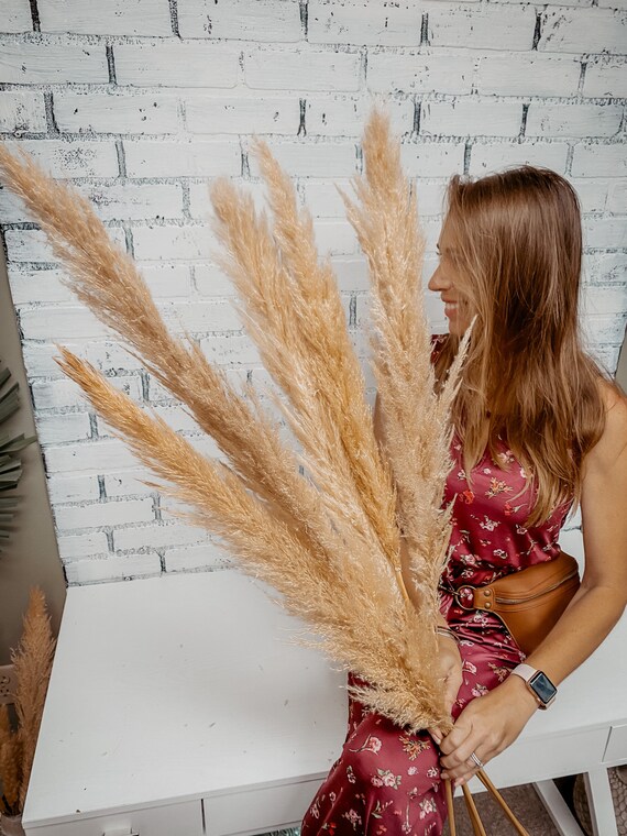 4' Dried Pampass Grass Natural/golden 3 Stems Style 1 | Etsy
