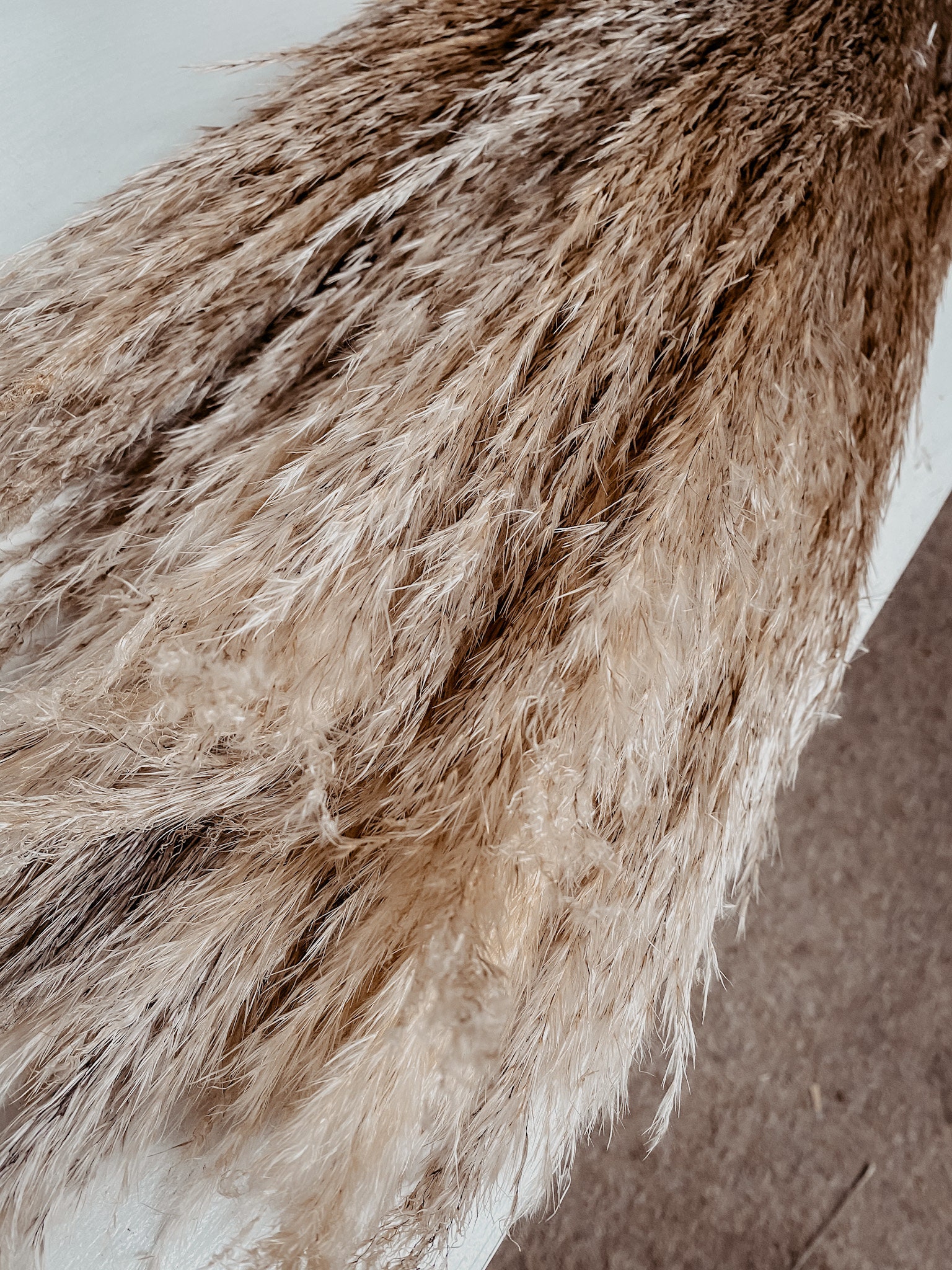 5 Stems Tan Pampas Grass, Natural Shade Tall Wispy Texture, 3.5 FEET ...