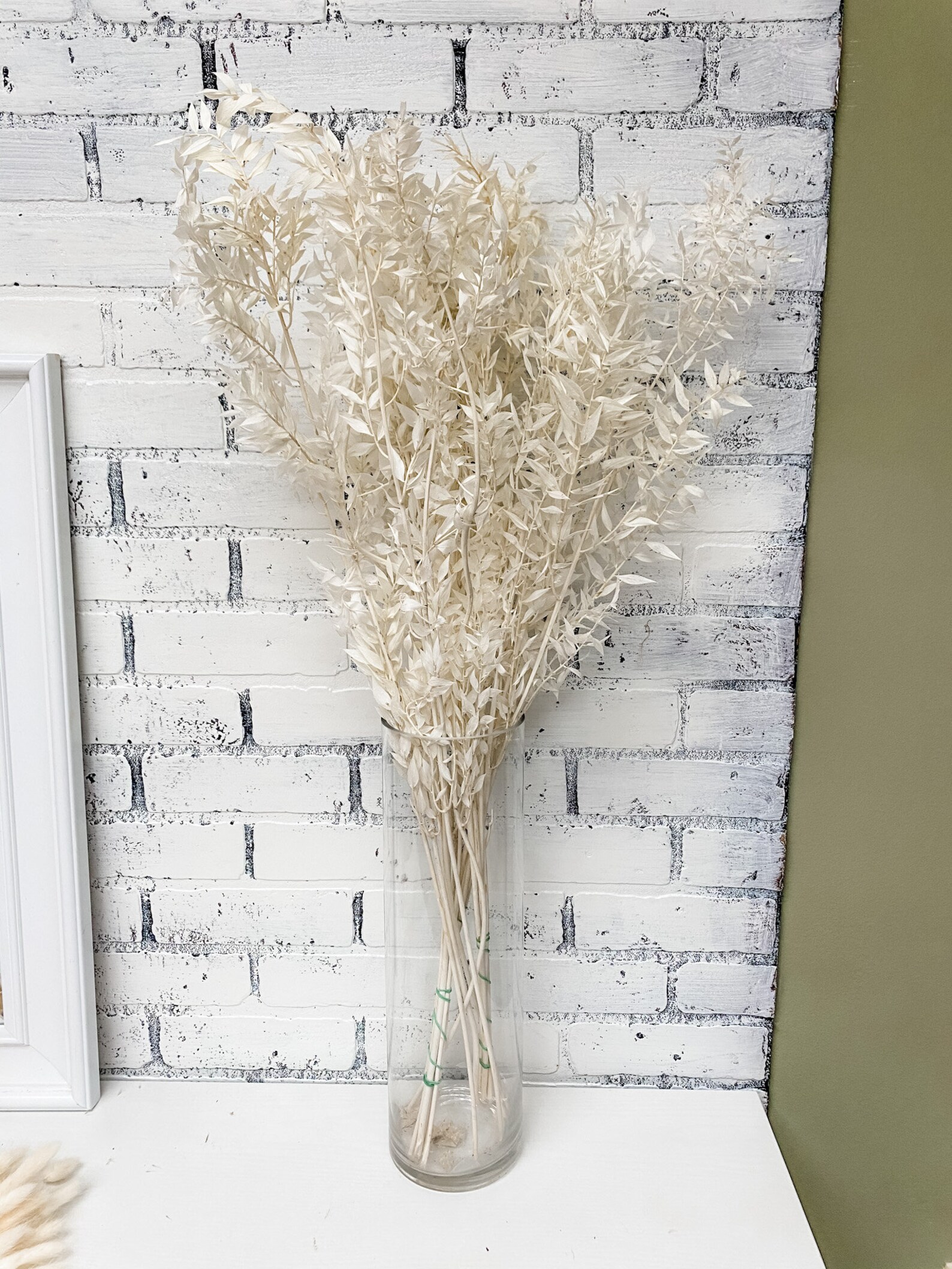 White Italian Ruscus, Long Stems of Ruscus, Dried Ruscus, Preserved ...