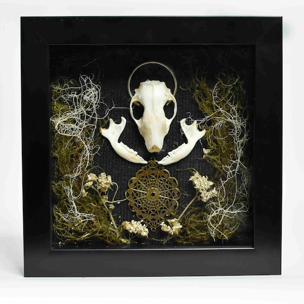 Shadow the Hedgehog - Etsy