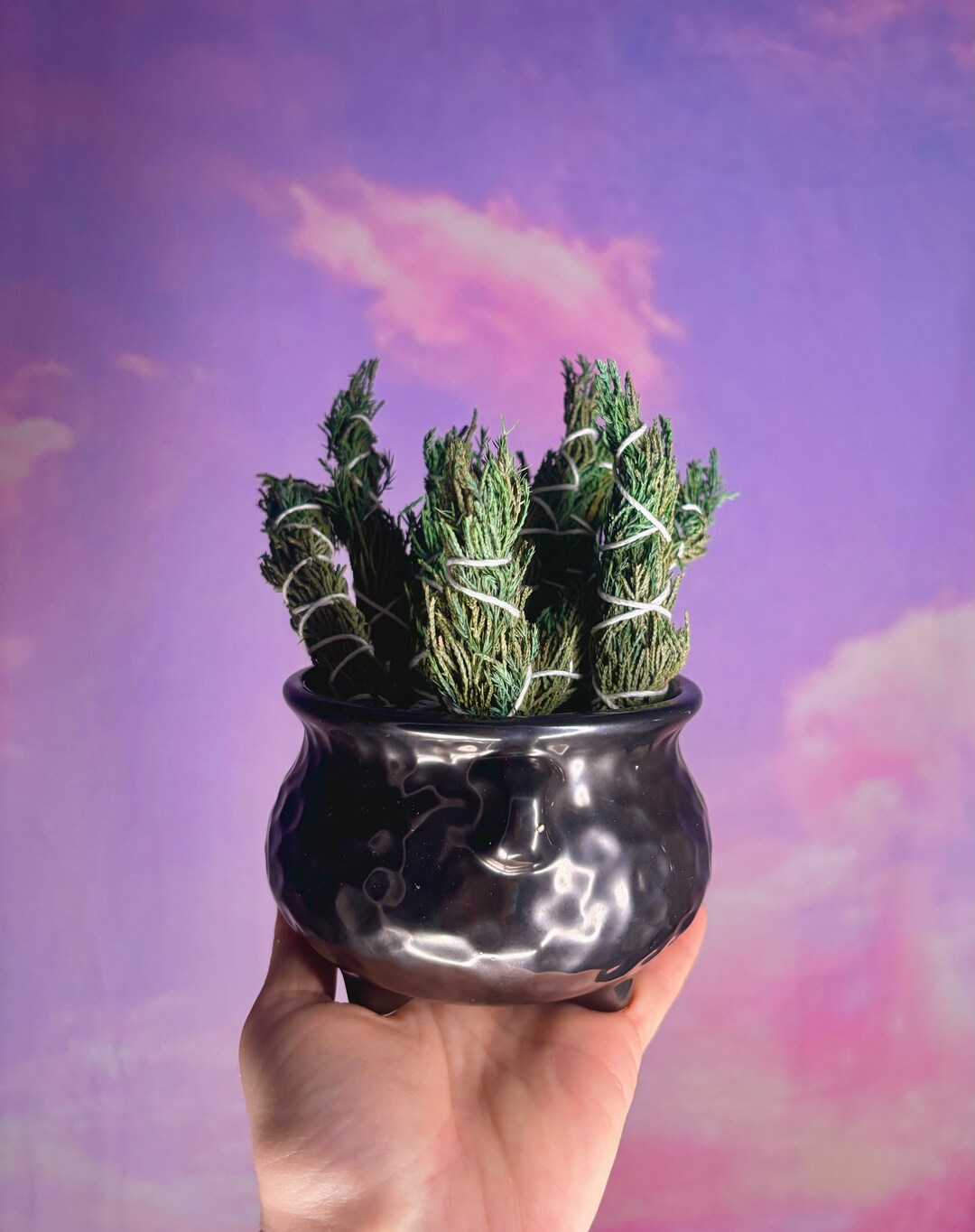 Home Grown Juniper Bundle - Etsy