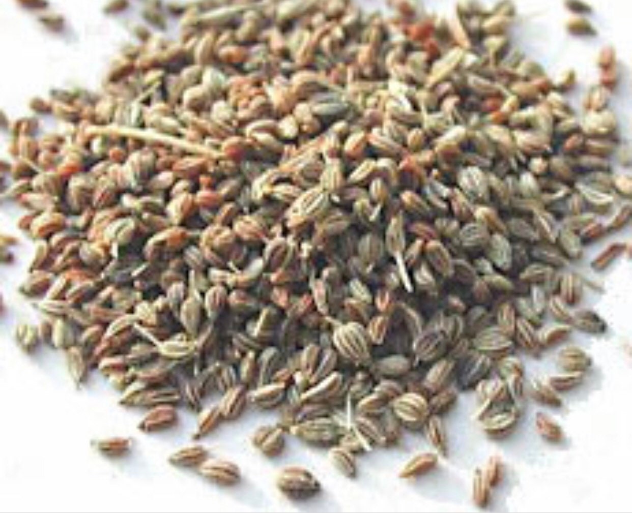 Ajwain Seeds Organic Sold in .5 Dry Oz Portions. - Etsy