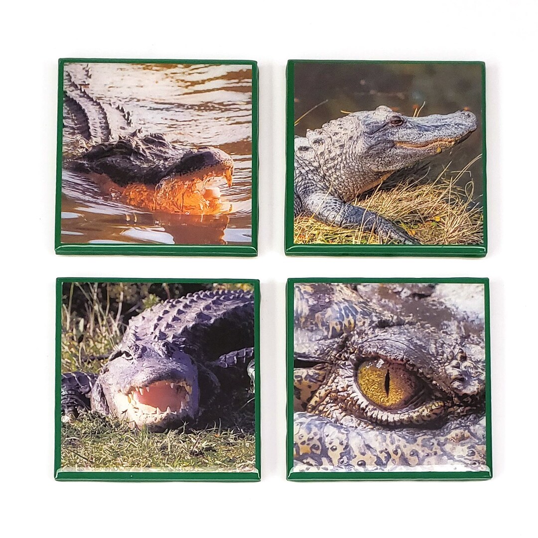 Swamp Serenade: Resin-coated Green Ceramic Tiles With Alligator Art ...
