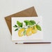 Fruit Greeting Cards - Set of 6 Watercolor Cards Strawberry Card ...