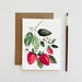 Fruit Greeting Cards - Set of 6 Watercolor Cards Strawberry Card ...
