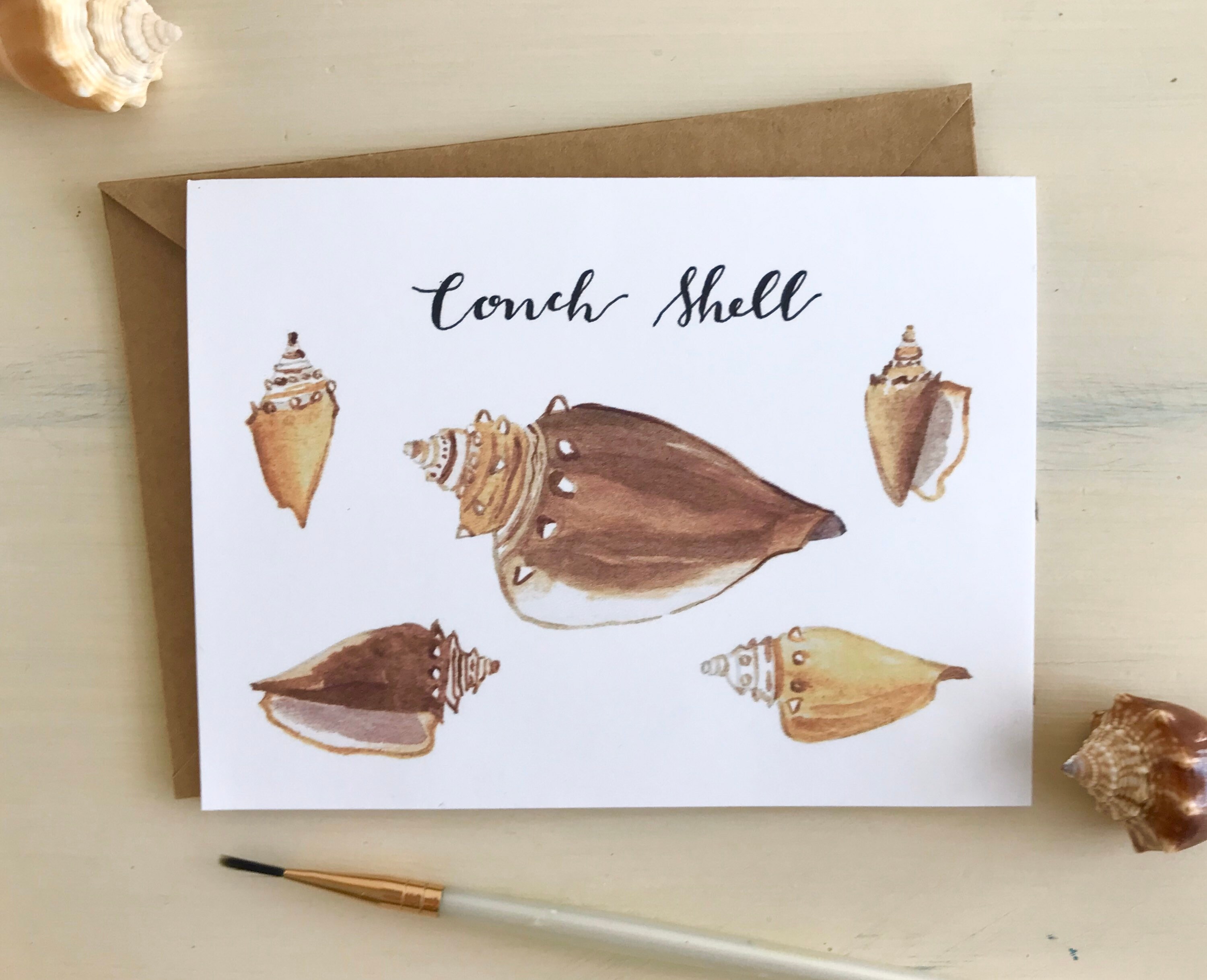 Seashell Greeting Cards Set - Set of 6 Watercolor Painted Seashells ...
