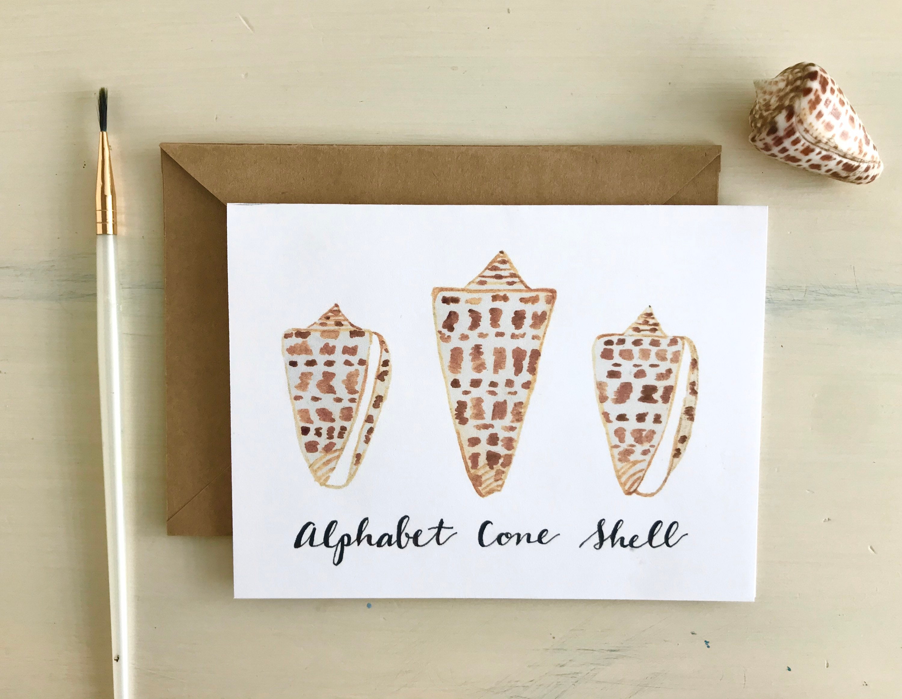 Seashell Greeting Cards Set - Set of 6 Watercolor Painted Seashells ...