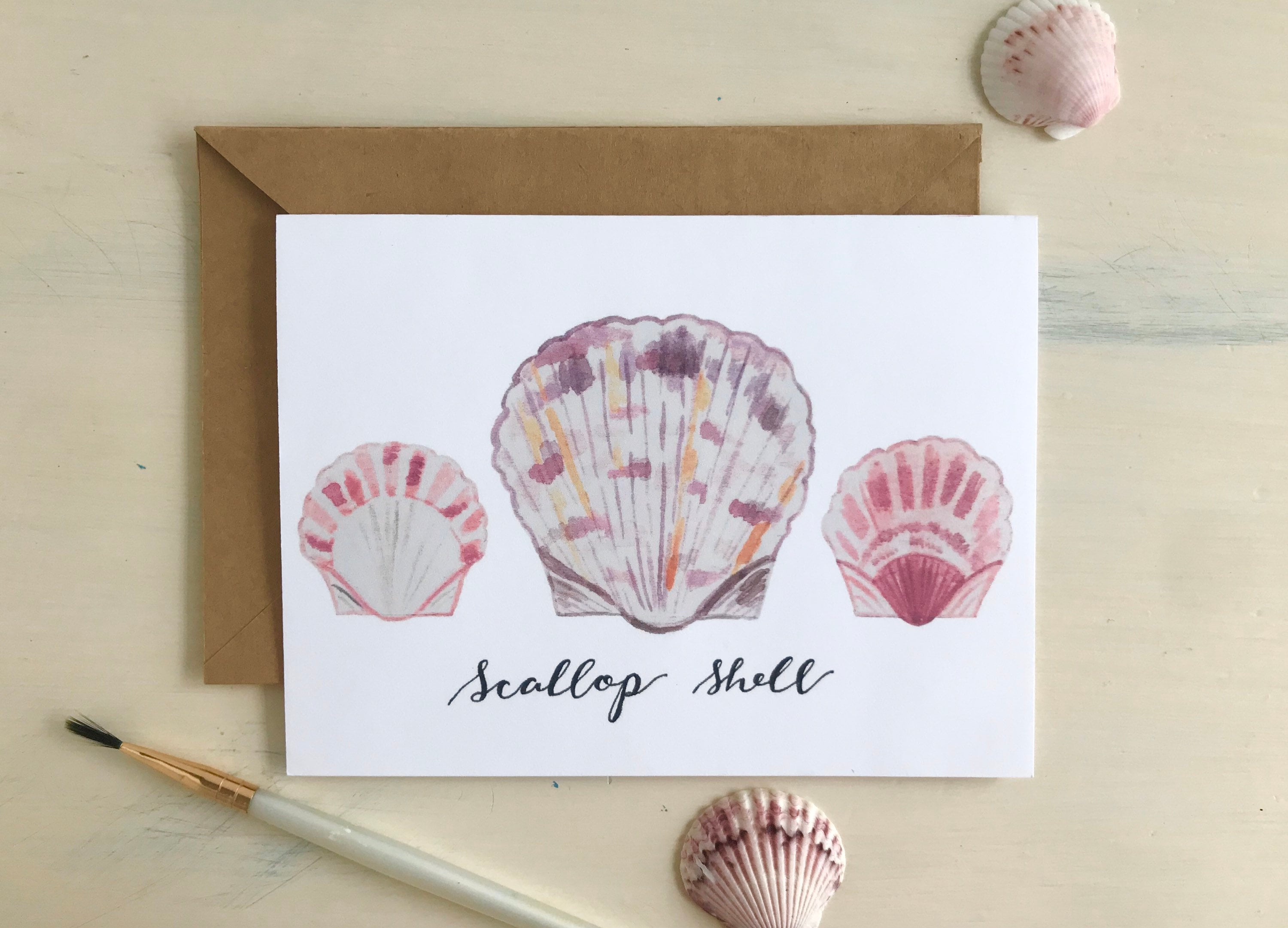 Seashell Greeting Cards Set - Set of 6 Watercolor Painted Seashells ...