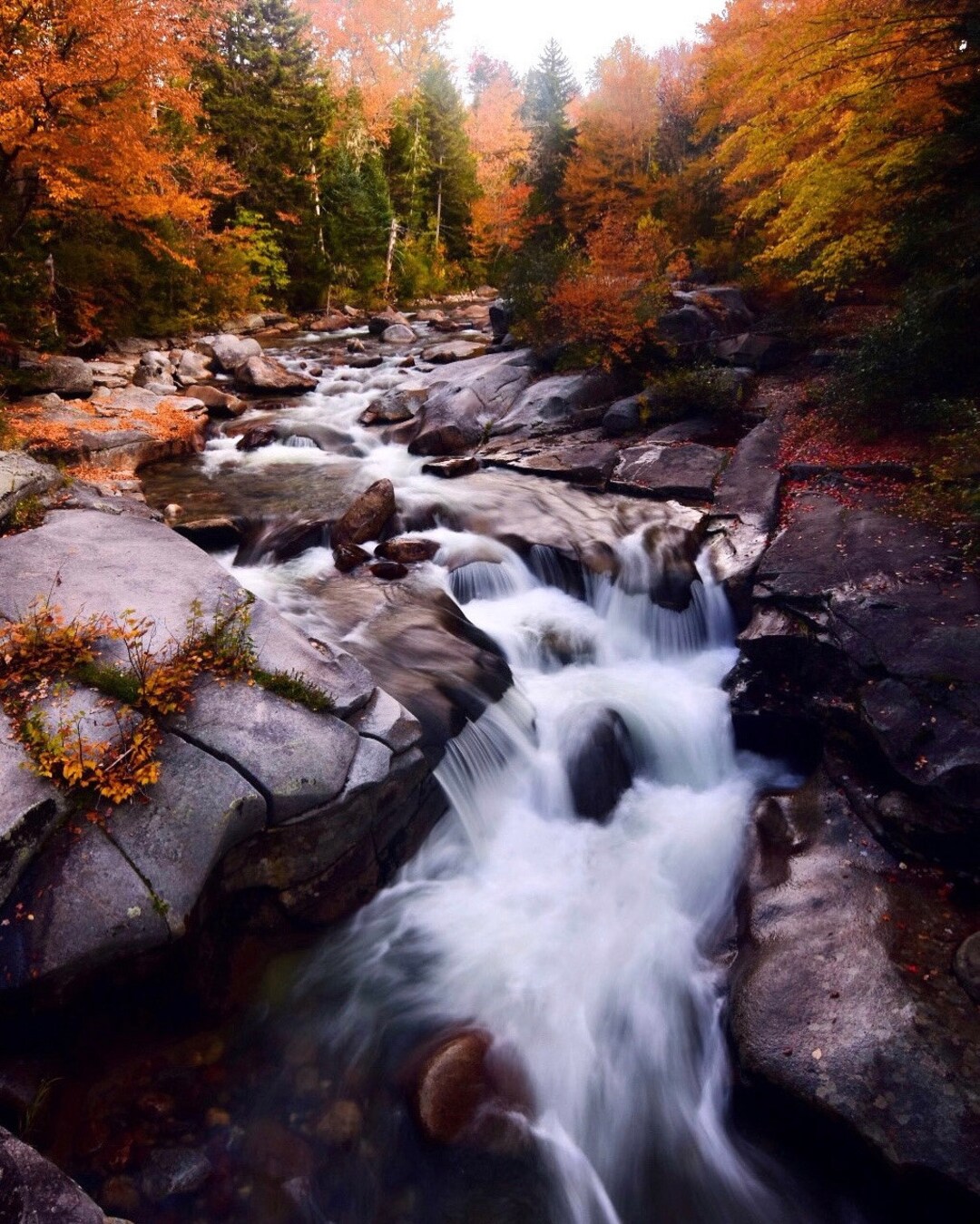 Autumn Falls, NH | Metal | Canvas | New England | Autumn | New ...